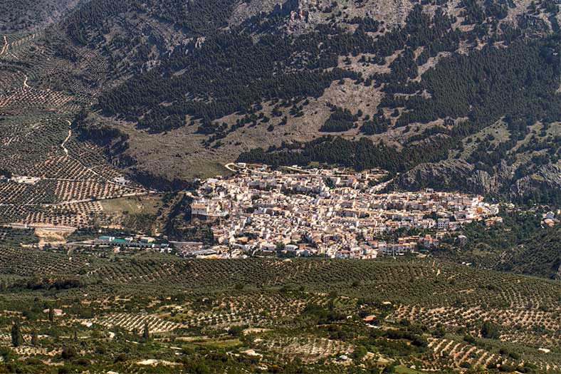 Asociación Botánica y Micológica de Jaén